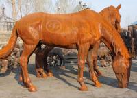 China Horse G1276 for sale