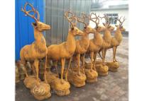 China NS-1552 for sale