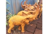 China NS-1554 for sale