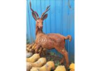 China NS-1557 for sale