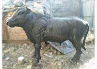 China NS-1578 for sale
