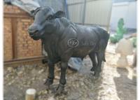 China NS-1578 for sale