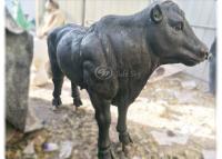 China NS-1578 for sale