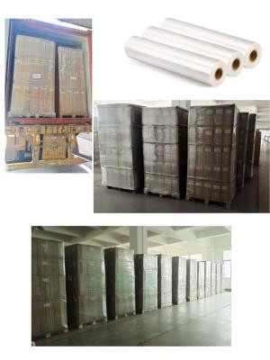China Polyester Pet Film Roll , Polyester Film Multiple Composite  Extrusion Processing Type for sale