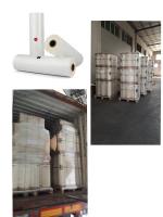 China Customized size of high-performance glossy Pet film: 16 microns -200 microns for sale