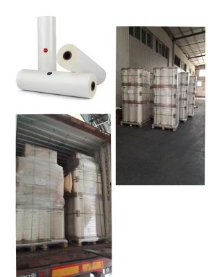 China Customized size of high-performance glossy Pet film: 16 microns -200 microns for sale