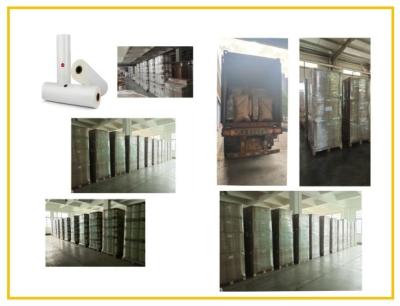 China Flexible BOPP Thermal Lamination Film For Various Lamination Temperatures And Roller Pressures for sale