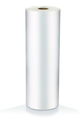 China White Colour 27 Mic Matt Lamination Film For Paper Boards Extrusion - Coated Surface for sale