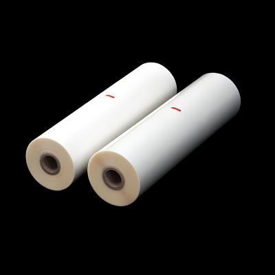 China Biaxially Oriented Polypropylene BOPP Lamination Film with Glue for sale