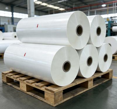 China Soft Hardness Digital Laminating Film with 12 Months Shelf Life and Double Corona Treatment for Enhanced Print Longevity for sale