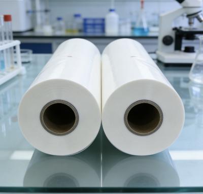 China Silver Metallic Colored Metalized PET Film with High Clarity and Strength Resistant To Many Chemicals And Solvents for sale