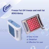 China Home Use 650nm Lipo Laser Device Weight Loss Body Slimming Beauty for sale