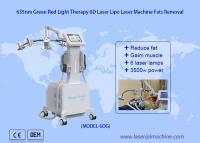 China Low Level 6D Laser Fat Reduce 532nm Green 635nm Red Light Therapy Cold Laser Therapy Device for sale
