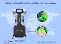 China Low Level 6D Laser Fat Reduce 532nm Green 635nm Red Light Therapy Cold Laser Therapy Device for sale