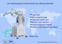 China Low Level 6D Laser Fat Reduce 532nm Green 635nm Red Light Therapy Cold Laser Therapy Device for sale