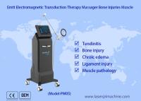 China Emtt Transduction Magnetic Therapy Device Massage Joints Repair Physiotherapy Near Infrared for sale
