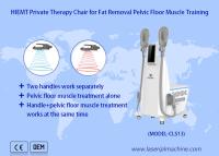 China 2 Handles Buttbuck Lifting Weight Loss Ems Machine Sculpting Muscle Massage for sale