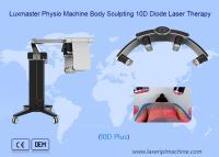 China Vertical Luxmaster Laser Physiotherapy 405nm 10d Cold Red Light Machine for sale