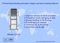 China Fat Burning and Shipping Services with EMS Electronic Muscle Stimulate Machine for sale