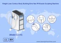 China 2pcs Small Handle For Arm And Leg Ems Muscle Stimulator Buttocks Equipment 1-100 Hz for sale