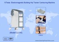 China Arm And Leg 1-100 Hz Frequency Hi Emt Machine Muscle Stimulator for sale