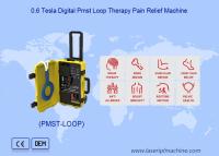 China Buttocks Treatment Area Magneto Therapy Machine for Relieving Body Pain for sale