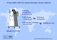 China Tesla Sculpting  Electo Magenetic Body Slimmingting Machine For Fat Burning and Body Sculpting for sale