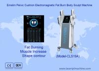 China 5-200Hz EMS Muscle Stimulator Body Sculpting Machine with Intelligent Air Cooling System for sale