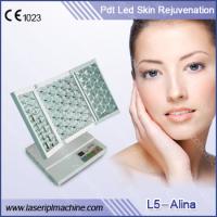 China Salon Skin Rejuvenation 25W PDT LED Light Therapy Machine for sale