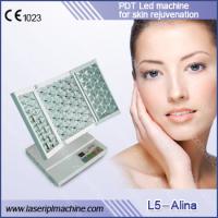 China Mini PDT Skin Rejuvenation Machine Acne Removal And Wrinkle Removal for sale