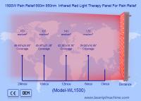 China Pulse Mode 300pcs LED Full Body Infrared Lamp Face Target Red Light Therapy Panel for sale