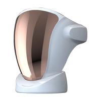 China High-quality Rose Gold Color Led Light Therapy Facial and Neck Beauty Machine for sale