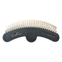 China 3D Shade Guide 27 Colors Comparator Tooth Bleaching Shade Chart Board for sale