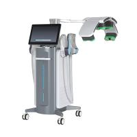 China Ems Rf 10d Max Master Red Green Light Machine For Cellulite Removal Fat Burning for sale