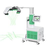 China Ems Cooling Plate Laser Weight Loss Machine Maxlipo Master 10d for sale