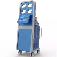 China Body 2 In 1 Cryolipolysis Slimming Machine Shockwave Therapy Cryo Therapy for sale