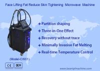 China Coolwaves 3 Handles Targeted Fat Loss Cellulite Improvement RF Cryo Ice Microwave Device for sale