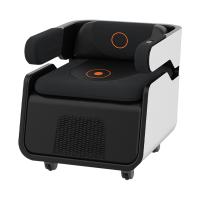 China Activates Pelvic Floor Muscle Promotes Collagen Pelvic Floor Muscle Repair Magic Chair for sale
