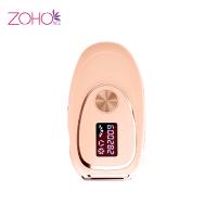 China Portable Mini Mutiple Gear Cooling Beauty BV IPL Hair Removal Machines for sale