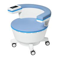 China Emsella Female Male Private Care Postpartum Recovery EMS Hi EMT Pelvic Floor Muscle Rehabilitation Chair for sale