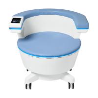 China Emsella Female Male Private Care Postpartum Recovery EMS Hi EMT Pelvic Floor Muscle Rehabilitation Chair for sale