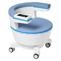 China Non-Invasive Stress Urgent Urinary Incontinence Postpartum Pelvic Dysfunction EMS Pelvic Floor Muscle Repair Chair for sale