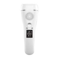China Professional Mini IPL Beauty Machine Ipl Skin Rejuvenation Machine Customized OEM for sale