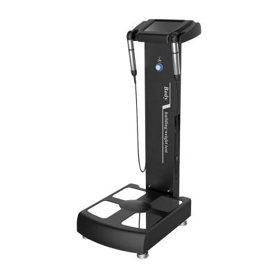 China Full Body Health Scanner Body Element Measuring Component Analyzer Machine for sale