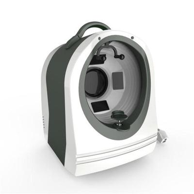 China Facial Skin Home Use Beauty Device 3d System Stationary Beauty Machine for sale