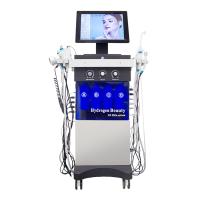 China 14 In 1 Ultrasonic Scrubber RF Bio Facial Cleaning Hydrodermabrasion Machine for sale