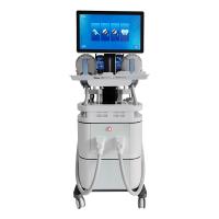 China 2 In 1 Cellulite Removal EMS Muscle Building Cryotherapy Body Slimming Machine for sale