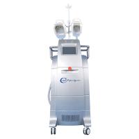 China Non - invasive Criolipolisis Slimming Machine cryotherapy fat removing machine for sale