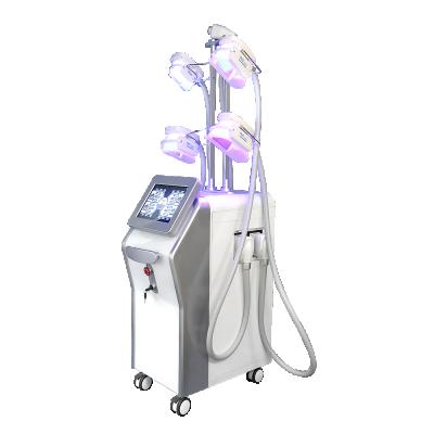 China Shape Body Cryolipolysis Slimming Machine , Lipo Cryo Cryolipolysis Beauty Equipment for sale