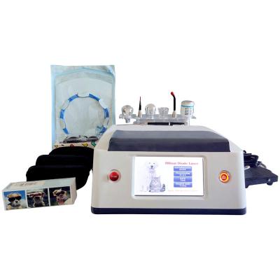 China Animal Use Portable 980nm Diode Laser Machine White Multifunctional Function for sale